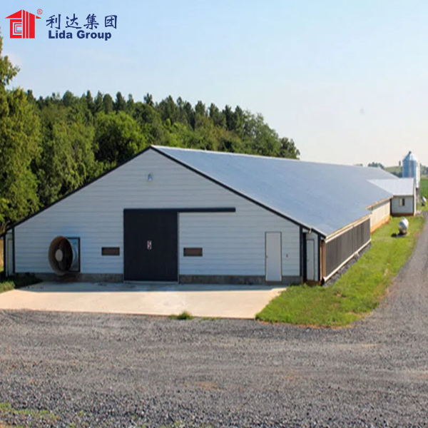 News - Lida Group’s Steel Structure Warehouse: Designed for Performance